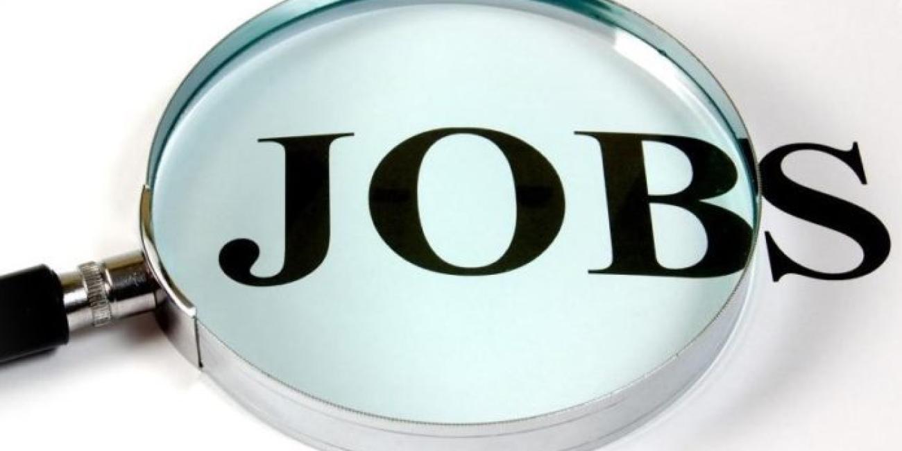 How cooperatives can tackle youth unemployment | Grassroots Economic ...